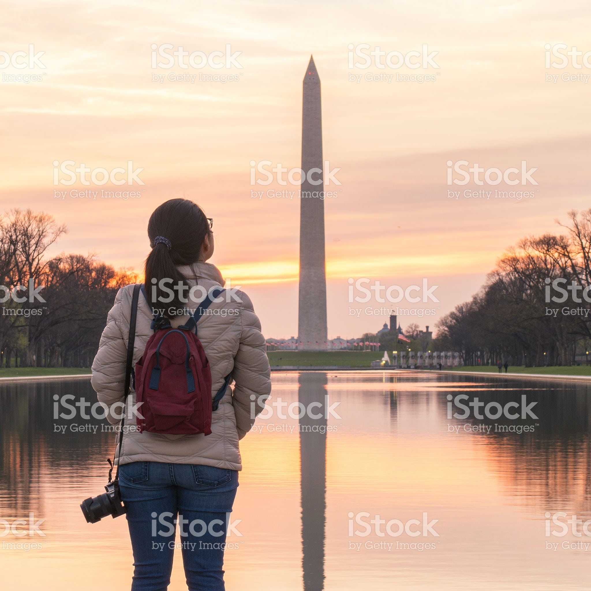 life-in-dc-popular - American Collegiate